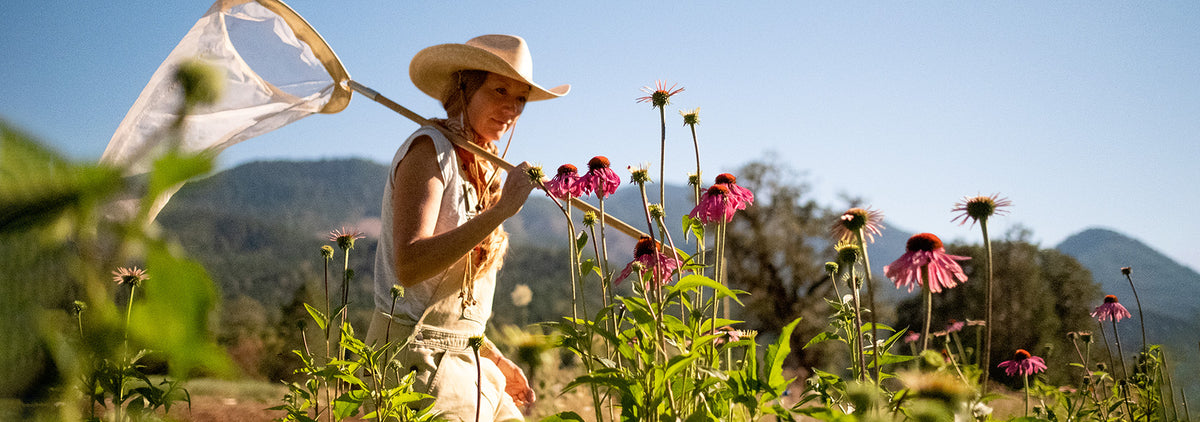 Protecting Pollinators: Our Research Partnership with Bee Girl ...