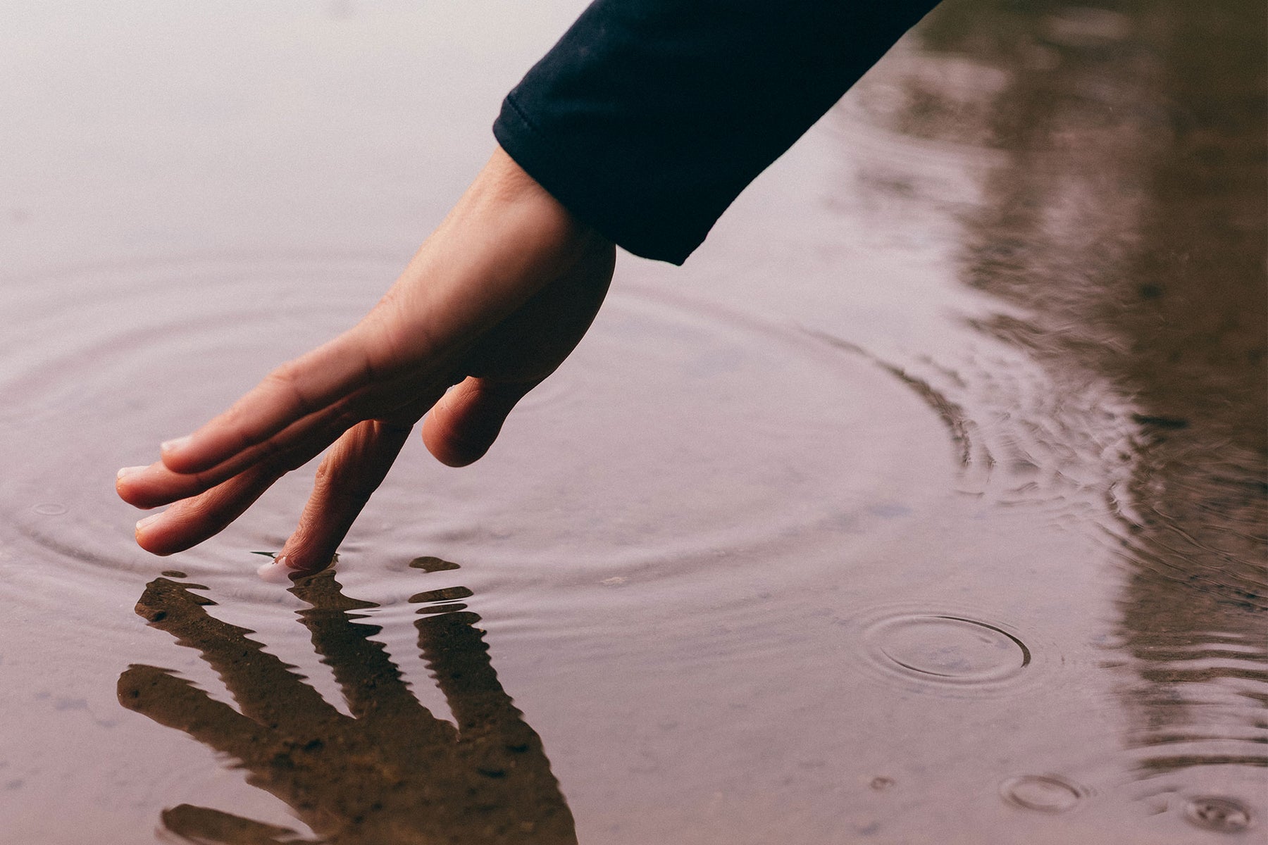 Dosha Quiz | Your Ayurvedic Body Type – Banyan Botanicals