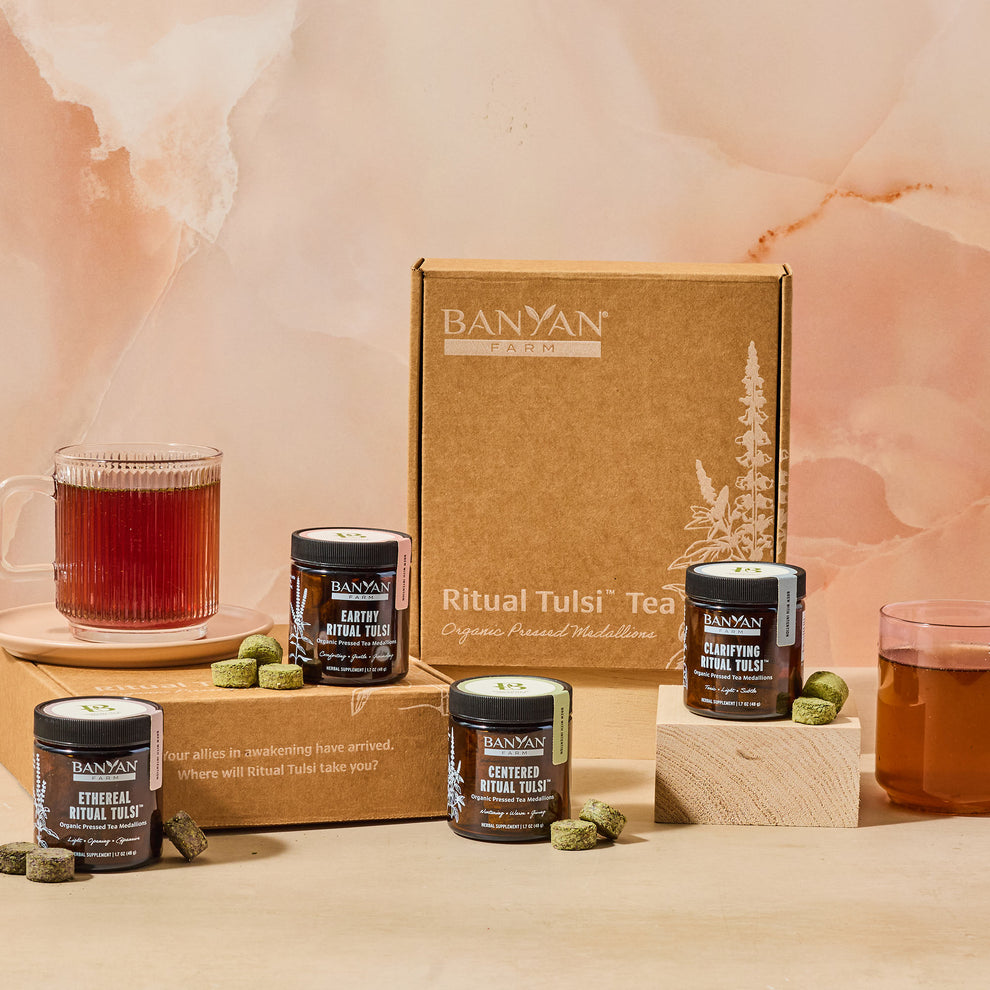 Ritual Tulsi Tea Box | 4 Varieties | Organic Pure Pressed Tulsi ...
