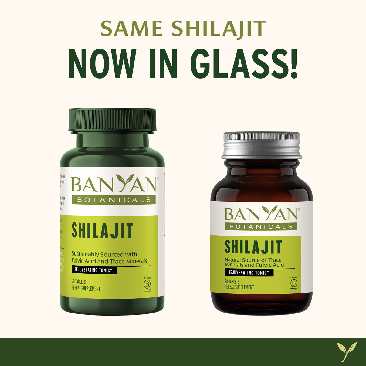 Shilajit Supplement | Mineral Resin Tablets – Banyan Botanicals