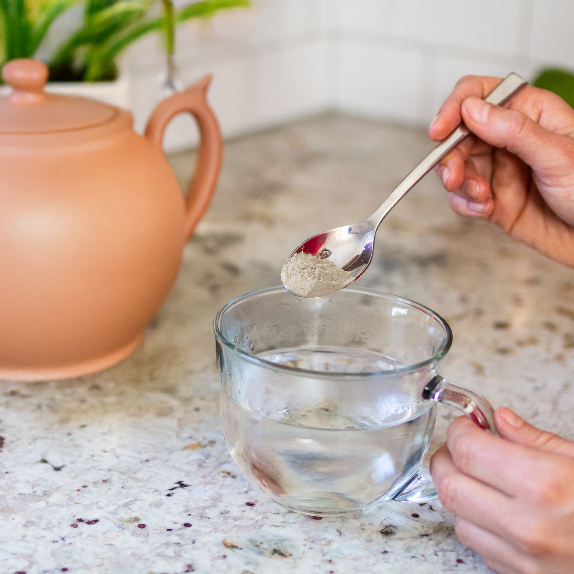 Buy Talisadi Online - 96% Organic Talisadi powder for Sale – Banyan ...