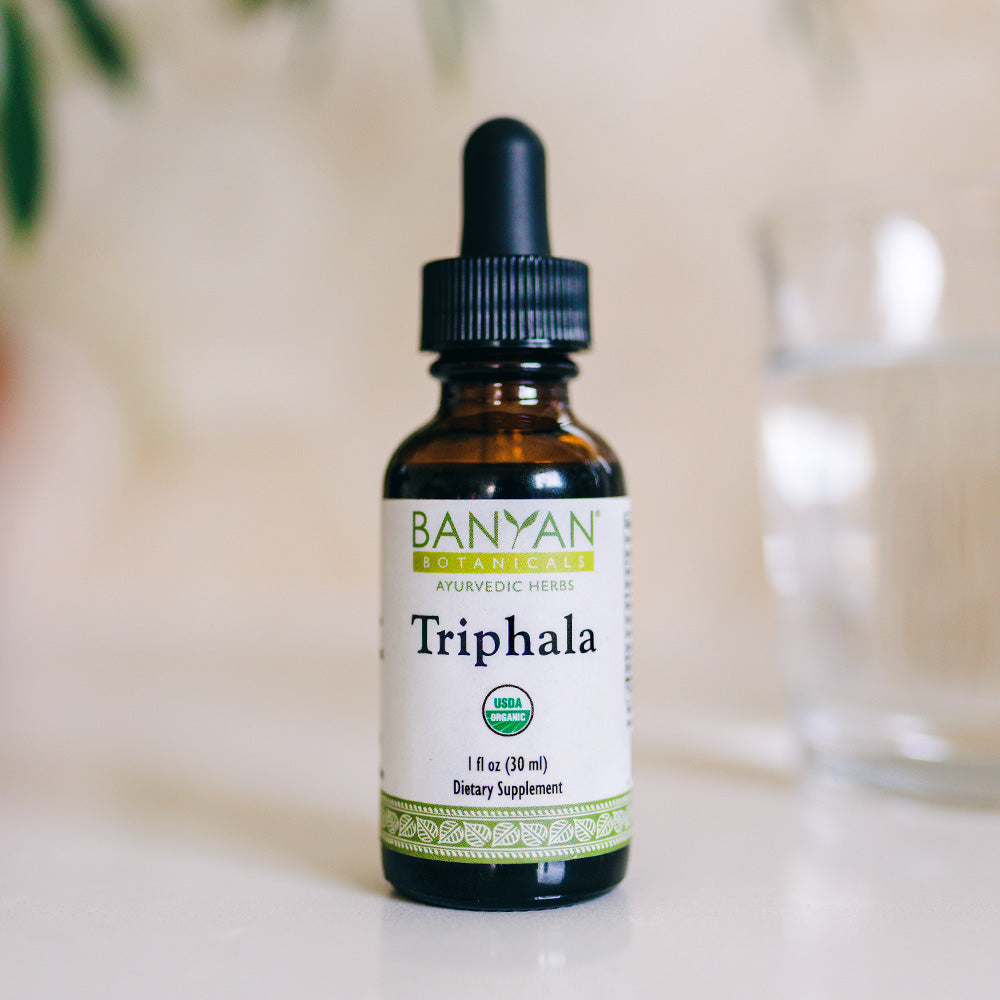 Triphala Liquid Extract | Organic Triphala | Herbal Extracts – Banyan ...