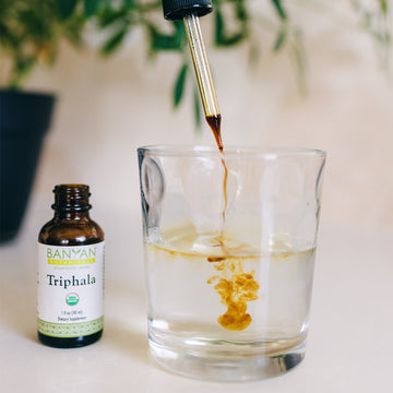 Herbal Extracts | Ayurvedic Liquid Extracts – Banyan Botanicals