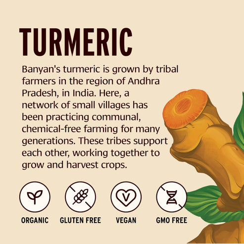 Turmeric Powder | Organic Turmeric with Curcumin | Organic Spices ...