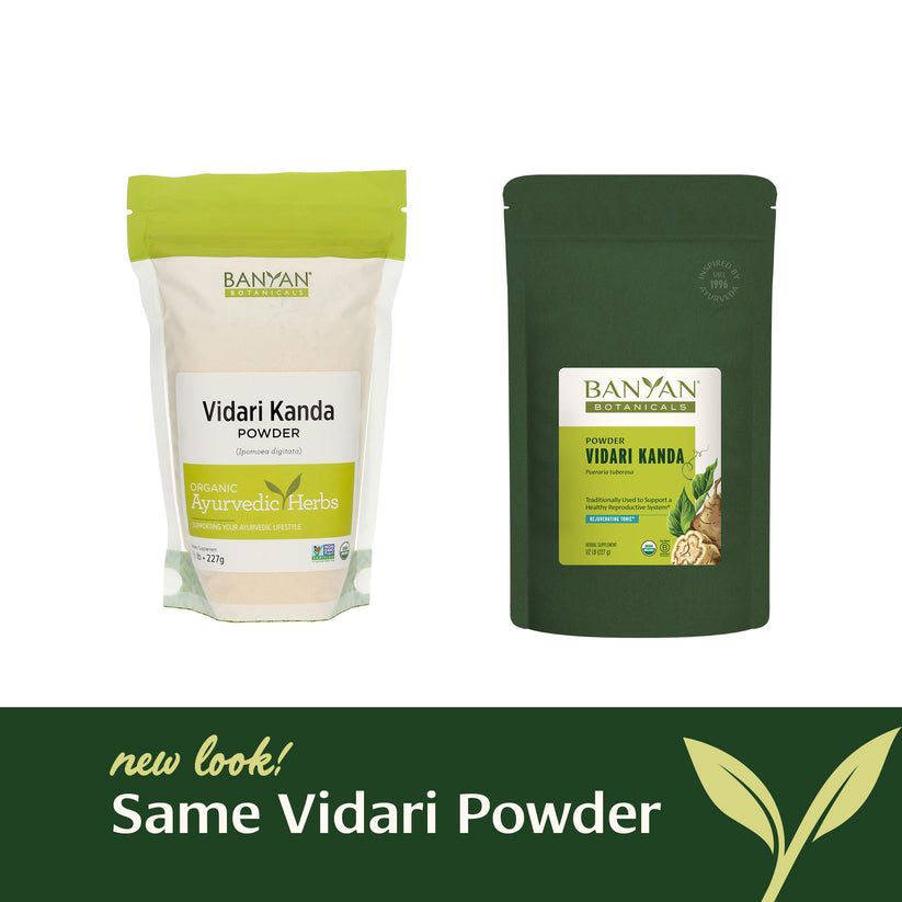 Vidari Kanda Powder (Pueraria tuberosa) | Organic Vidari Root Powder ...