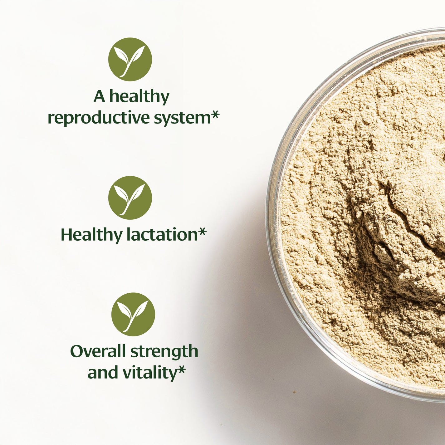 Vidari Kanda Powder (Pueraria tuberosa) | Organic Vidari Root Powder ...