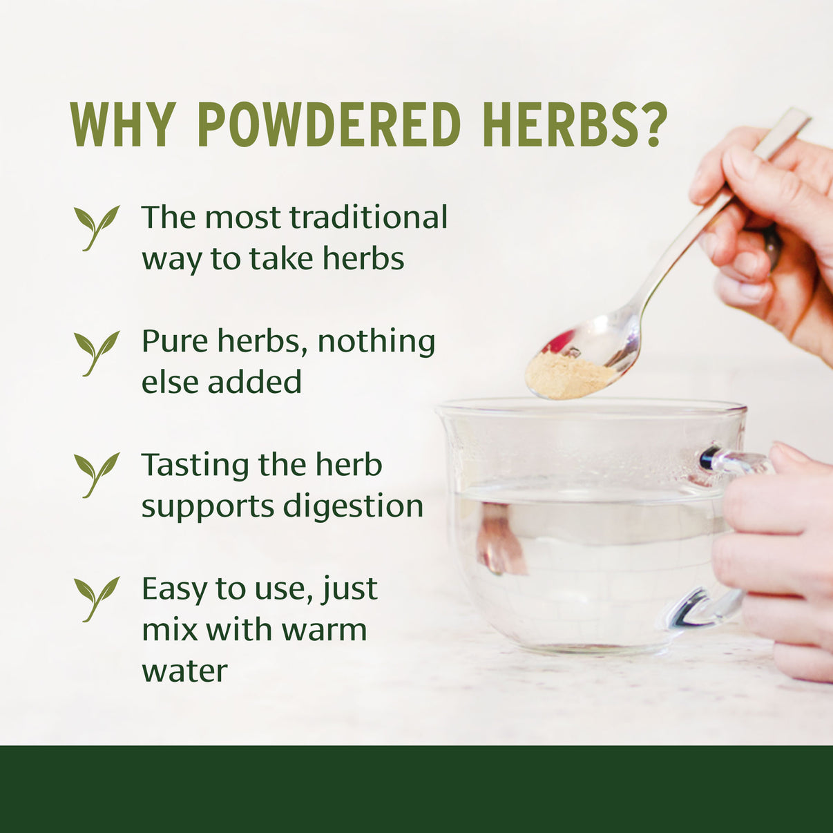 Shankhapushpi powder (Convolvulus prostratus) | Organic Ayurvedic Herbs ...