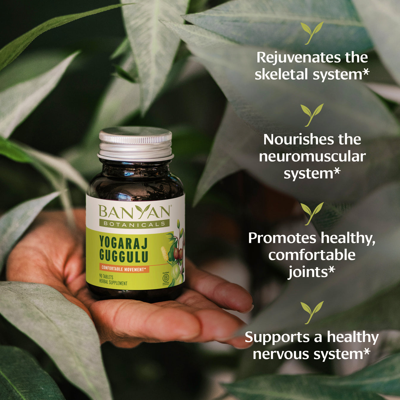 Yogaraj Guggulu Supplements - Buy Yogaraj Guggulu Tablets Online ...